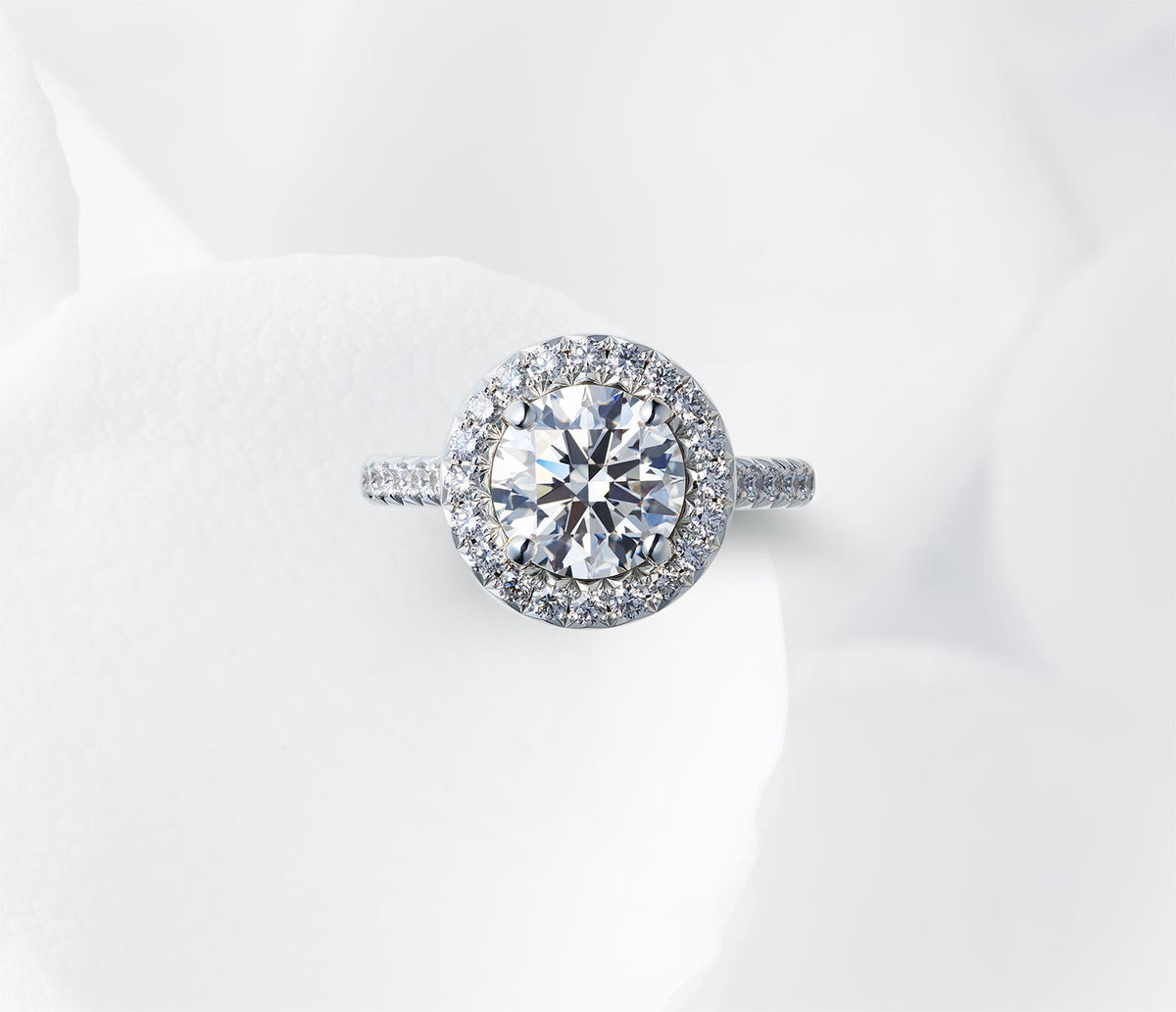 KOTOHOGI #3696 | Engagement Rings | NIWAKA Online Store